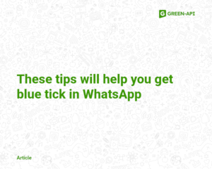 These tips will help you get blue tick in WhatsApp | GREEN-API